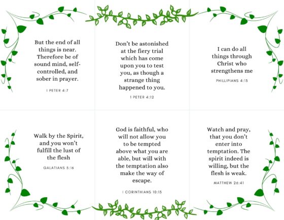Self-Control In The Bible - 6 Truths To Help You Overcome Temptation ...
