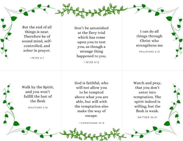 Self-Control In The Bible - 6 Truths To Help You Overcome Temptation ...